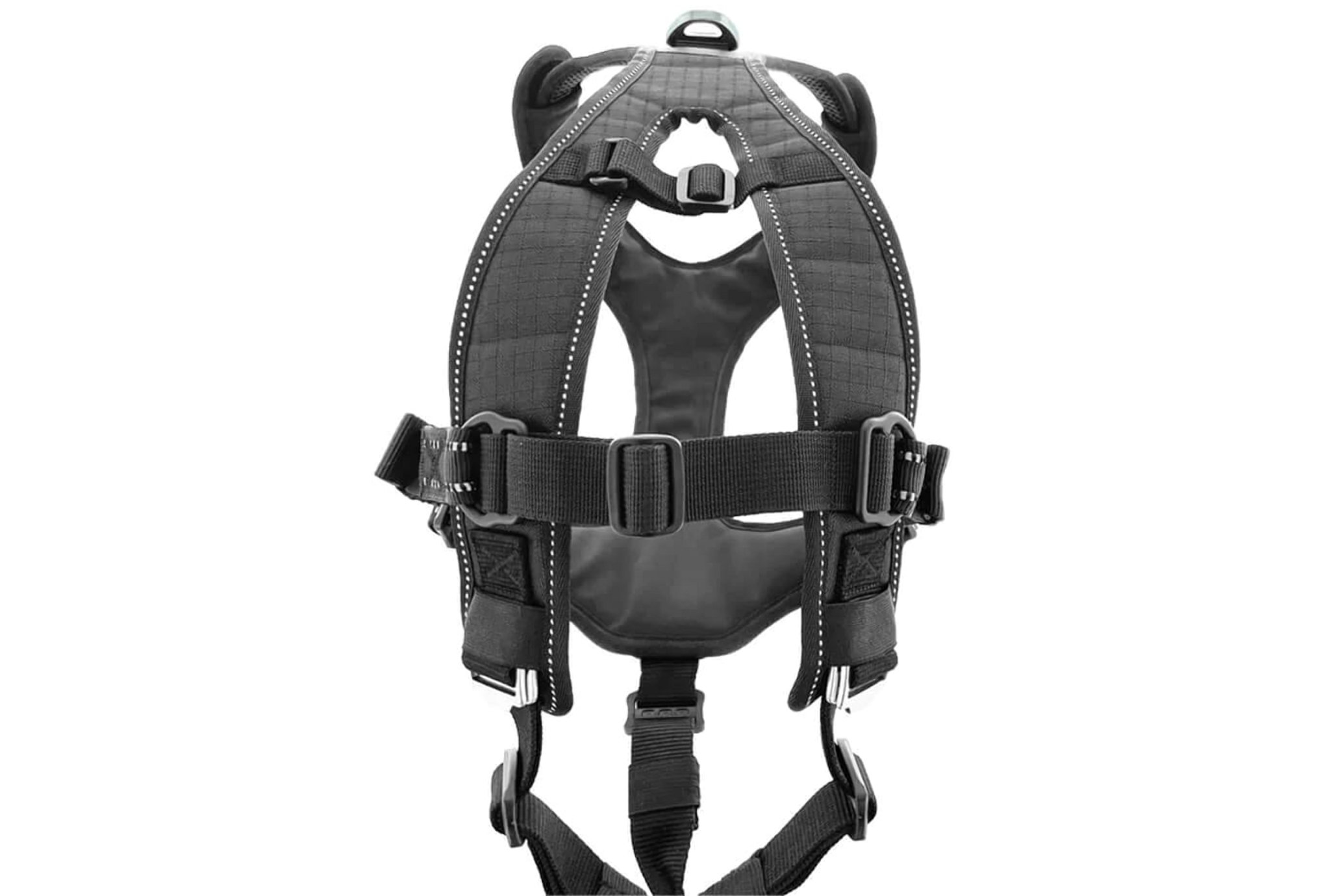 Raidlight Harnais i-Dog pas cher